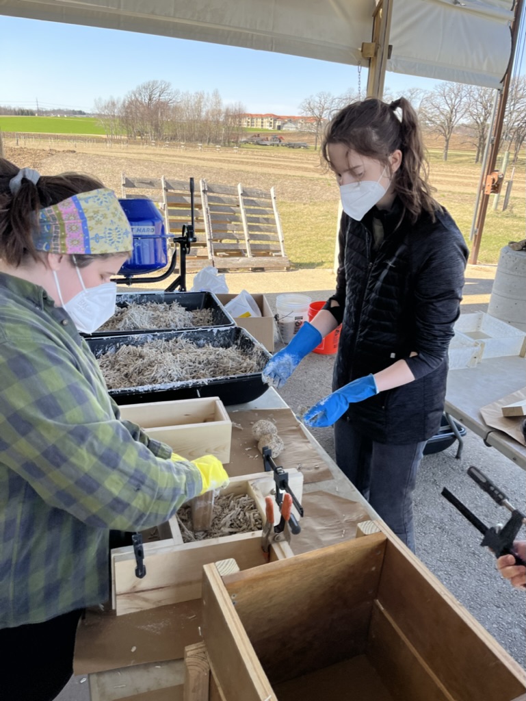 Wisconsin Hemp by Hand – Ellison Lab – UW–Madison