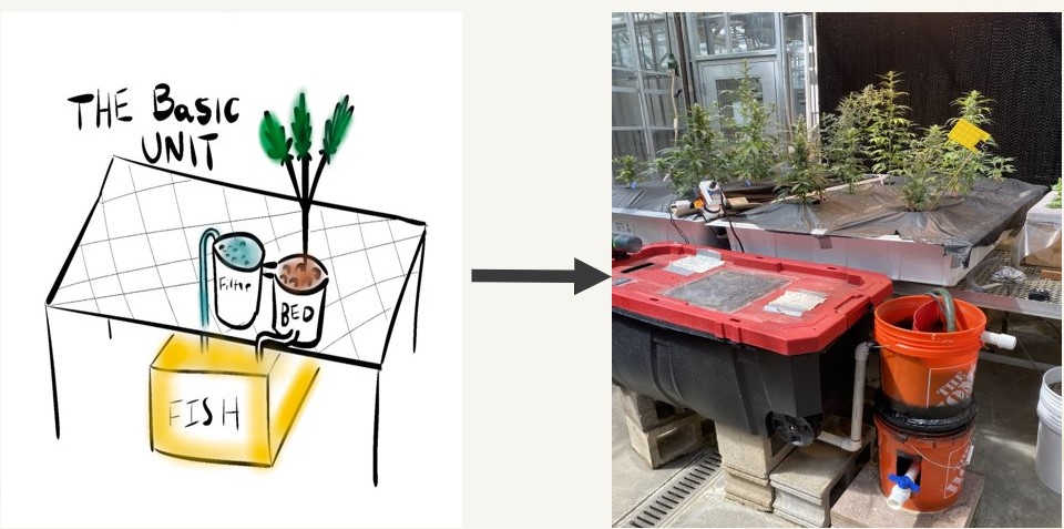 Ellison Lab Undergraduate Research Assistants Receive Bachelor of ...